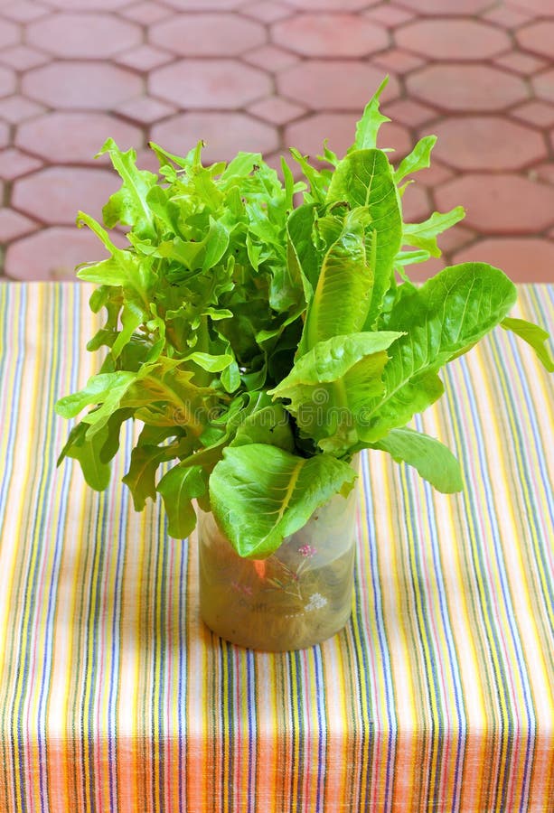 Green Vegetable on the Table Stock Photo - Image of vegetables, fruit ...