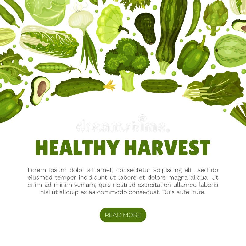 Green Vegetables Banner Design with Fresh Organic Food Vector Template ... Green Vegetables Banner Design with Fresh Organic Food Vector Template ...