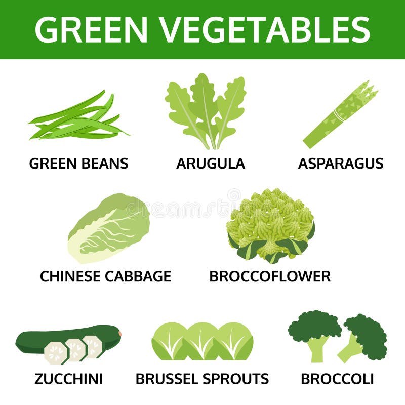 Green Vegetables Collection, Info Graphic Food Stock Illustration ...