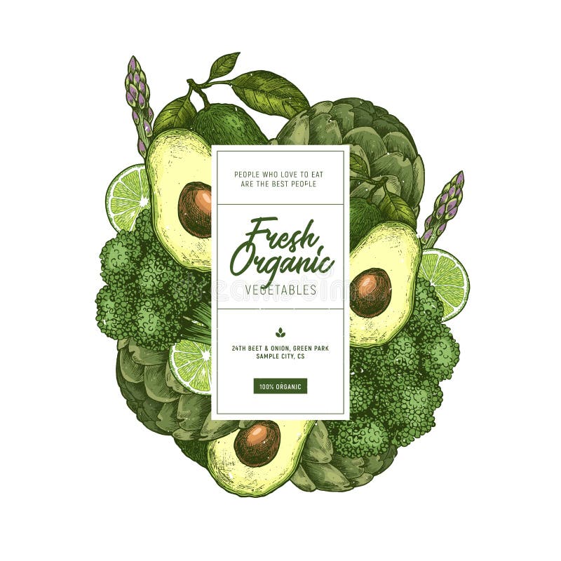 Green Vegetables Design Template. Fresh Food Engraved Illustration ...