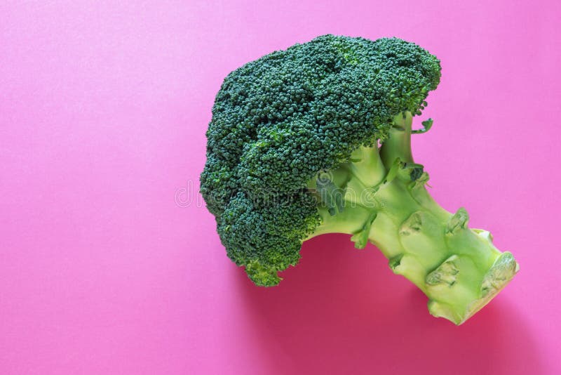 Flowering Head of Broccoli on Pink Background. Space for Text Stock ...