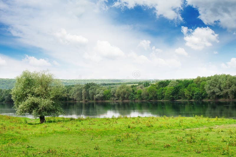 Green Vegetation on the River Banks Stock Image - Image of country ...