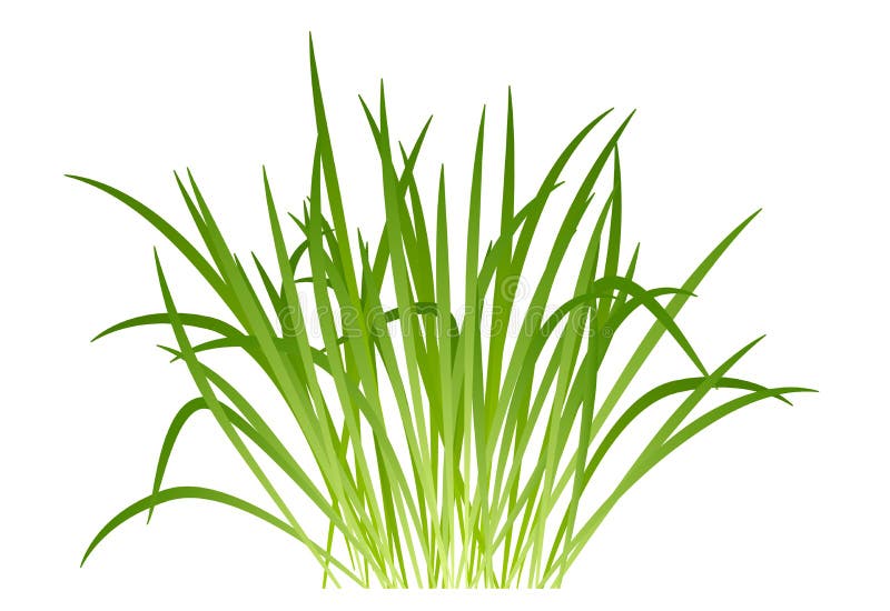 Horizontal Grass Border. Green Meadow Plants Growing Stock Vector ... Horizontal Grass Border. Green Meadow Plants Growing Stock Vector ...