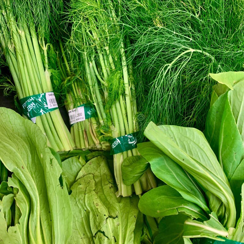 Green veggie editorial stock image. Image of bunch, green - 261654179