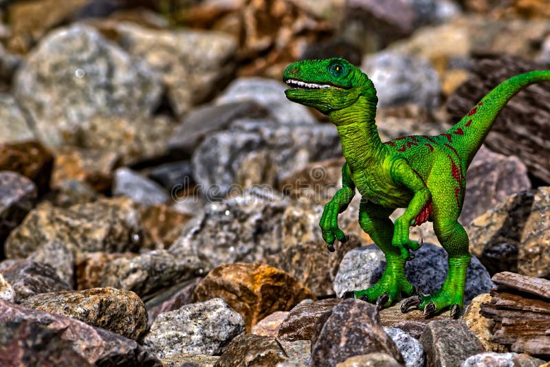 Green Velociraptor Dinosaur Walking among the Rocks Stock Photo - Image ...