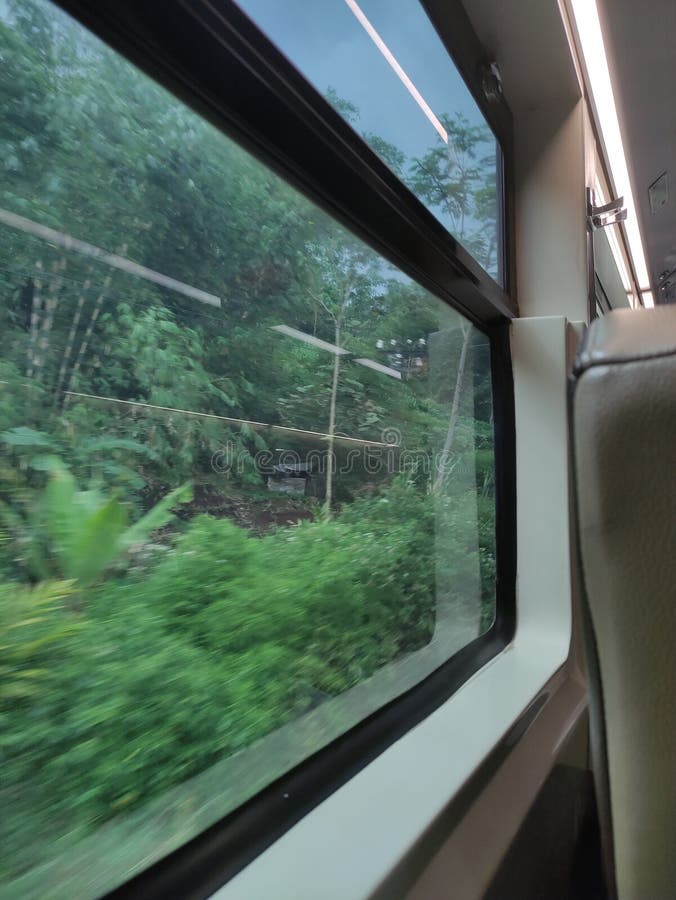 Green View from Behind the Train Window Stock Photo - Image of green ...
