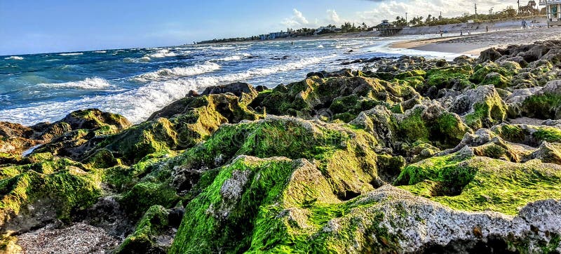 Green View of the Blue Waters of Stuart,Florida Stock Photo - Image of ...