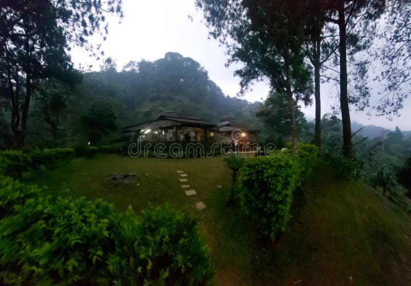 Green Villa on Montain View with Junggle Trees Stock Photo - Image of ...