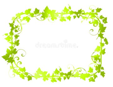 Green Vine Leaf Frame Borders 2 Stock Illustration - Illustration of ...