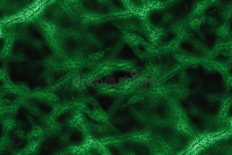 Virus Texture Background stock image. Image of medical - 24734587