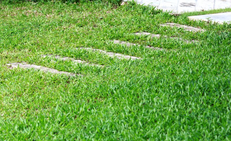 Green Walk Way in Public Park.walking Path Outdoor in Natural Stock ...