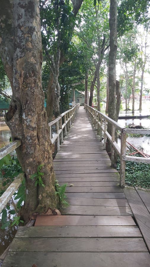 Green Walk Way To My Office Stock Photo - Image of green, office: 264868694
