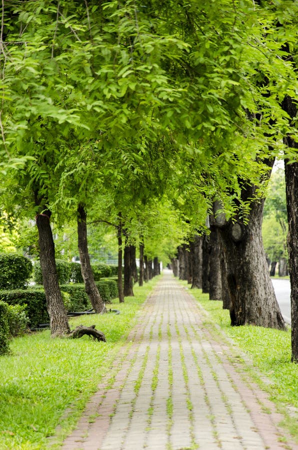 Green Walkway Next To Expressway Stock Image - Image of nature, hazy ...