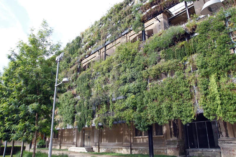 Green Wall in an Ecological Building Stock Image - Image of integrated ...