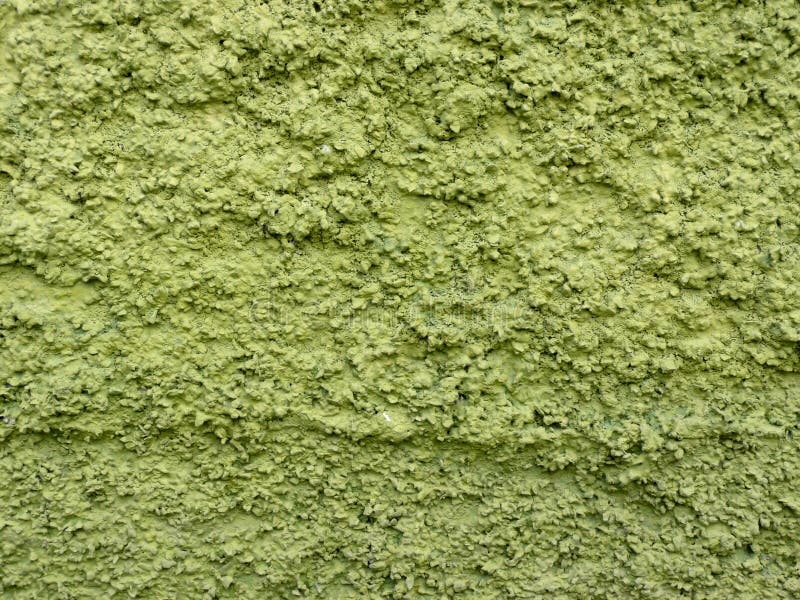 Green Wall Rough Texture stock image. Image of close - 21655159
