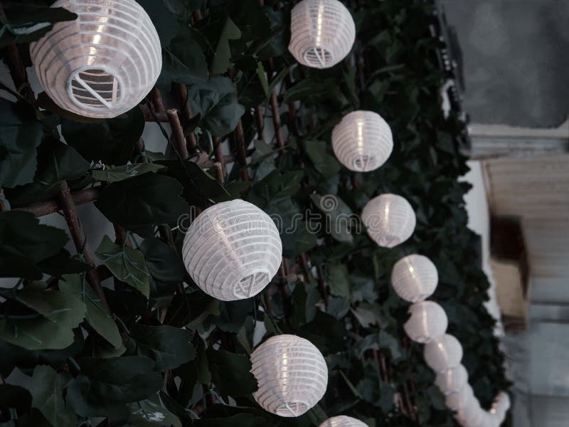 Green Wall with Small Chinese Paper Lanterns. House Facade Design Stock ...