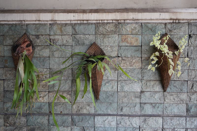 A Green Wall is a Vertical Built Structure Intentionally Covered by ...