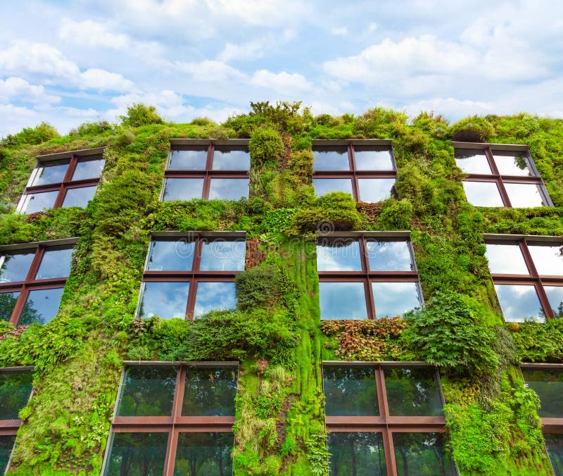 Green wall stock photo. Image of fresh, exterior, decorative - 262547620