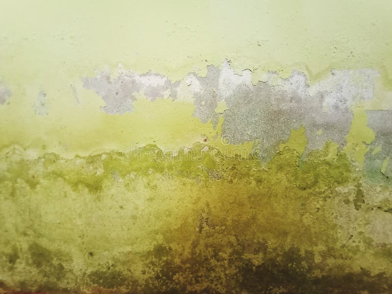 Green Walls in a Damp and Porous House Stock Image - Image of porous ...