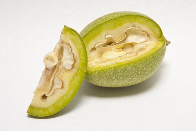 Green walnut stock photo. Image of food, green, tree - 14885790