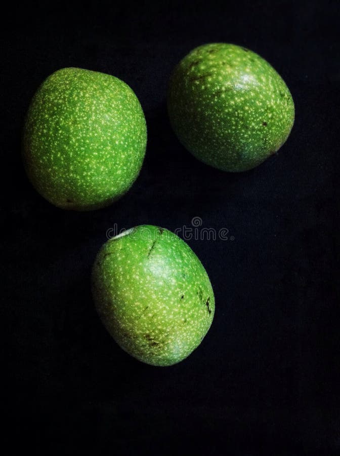 Walnut Husk Fly (Rhagoletis Completa) it is Quarantine Species of ...