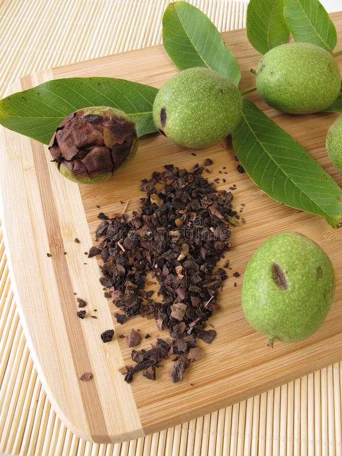 Green walnut outer shells stock image. Image of color - 26324689