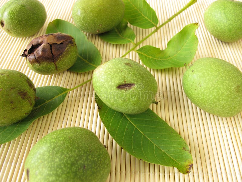 Green walnuts stock photo. Image of regia, nuts, color - 26426490