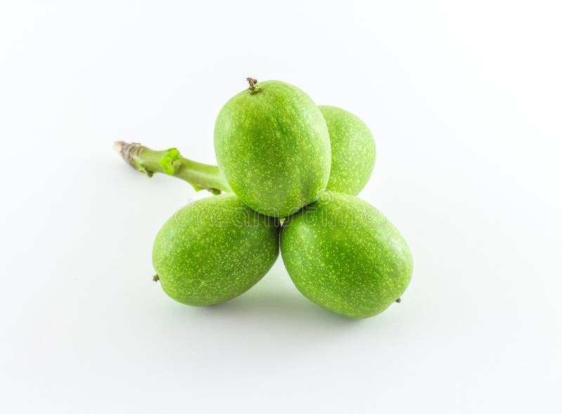 Green Walnuts Isolated on White Background Stock Image - Image of ...