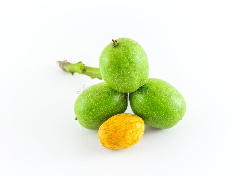 Green Walnuts Isolated on White Background Stock Image - Image of color ...