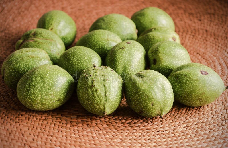 Green walnuts stock photo. Image of health, seed, organic - 76450374