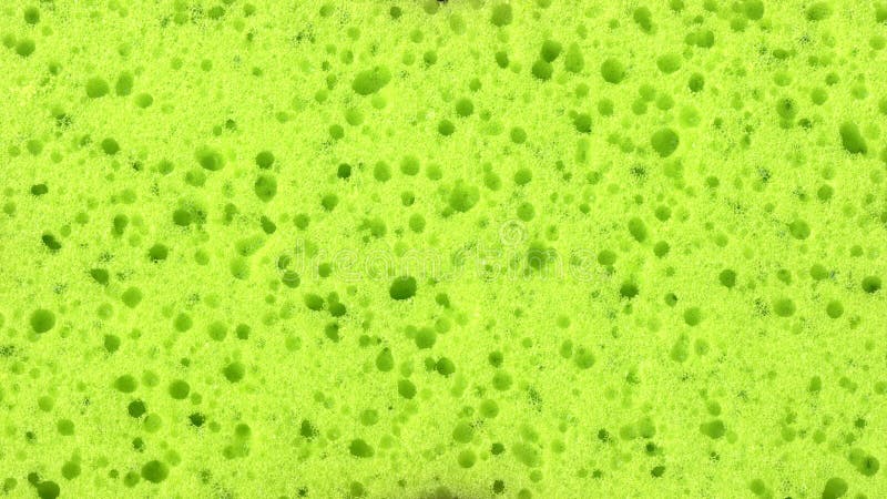 Green washing sponge stock photo. Image of macro, beauty - 63421362