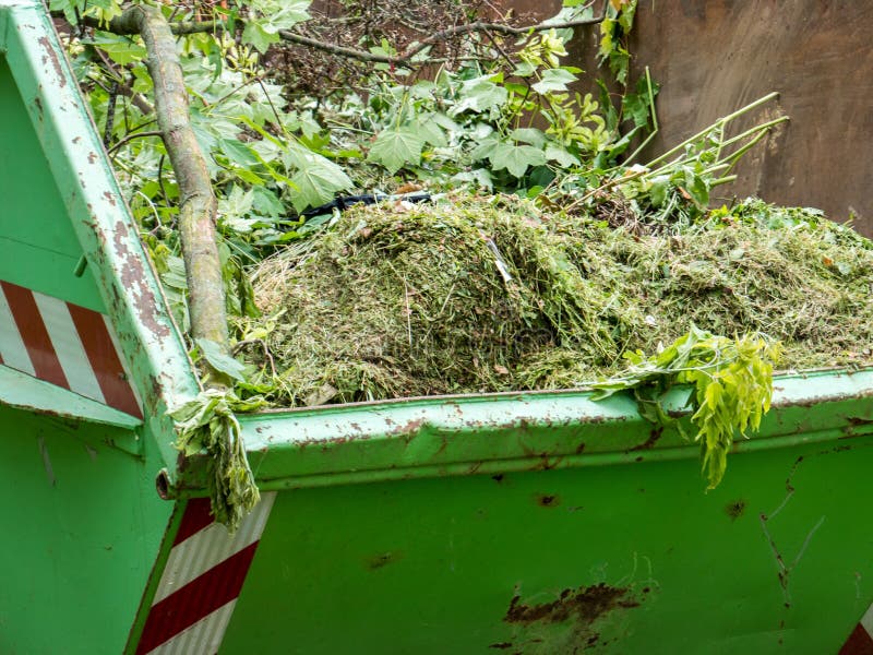 Green Waste in the Container Stock Image - Image of organic, clippings ...