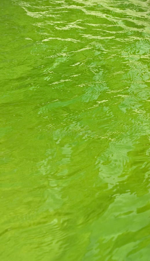 Green water stock photo. Image of water, green, splash - 7681498