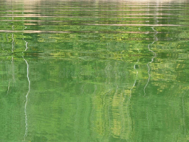Green water abstraction stock photo. Image of vegetation - 58762118