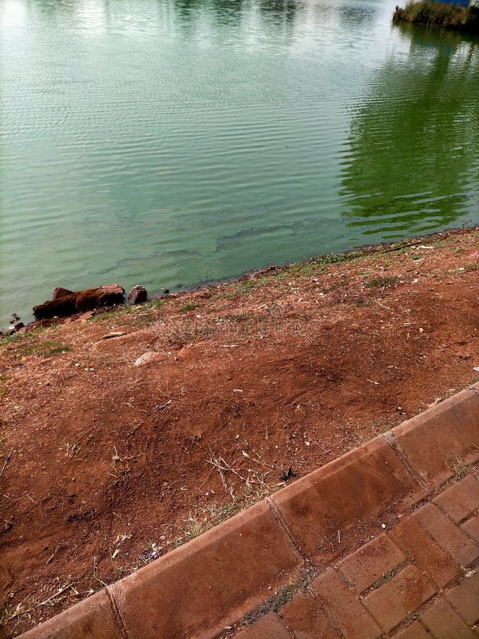 Green Water Edge View Walking Around Fresh Air Morning Stock Image ...