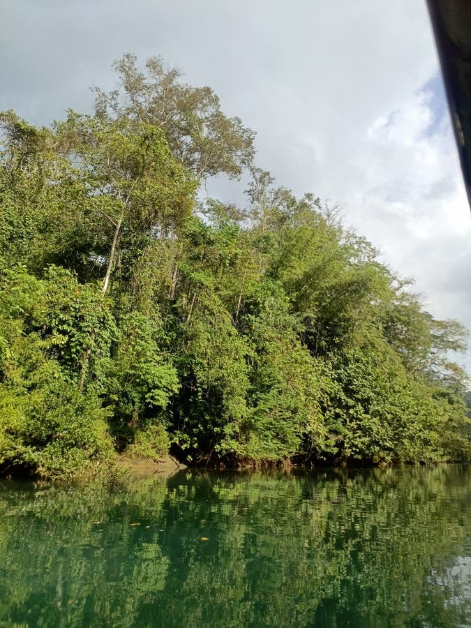 Green Water and Green Trees at West Java Indonesia Stock Photo - Image ...
