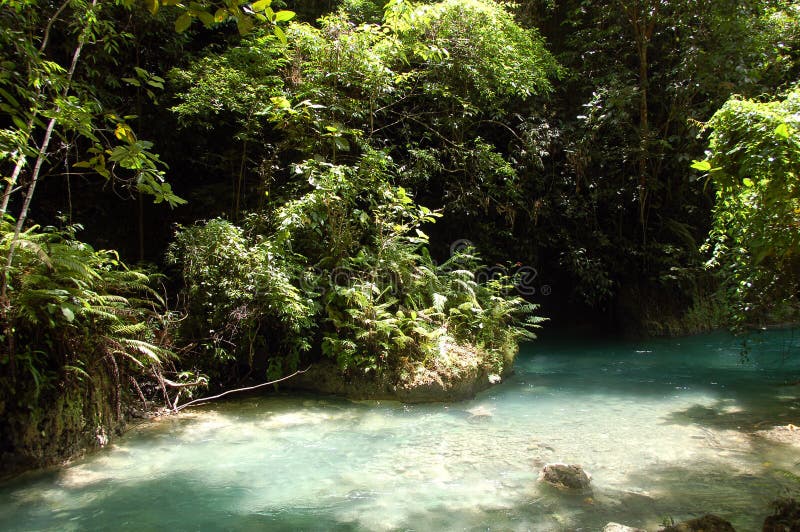 Kawasan River in Cebu, Philippines Stock Image - Image of forest, creek ...