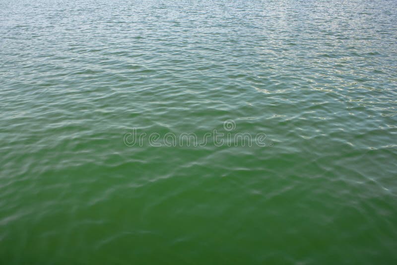 Green Water of a Lake with Small Waves Stock Photo - Image of deep ...
