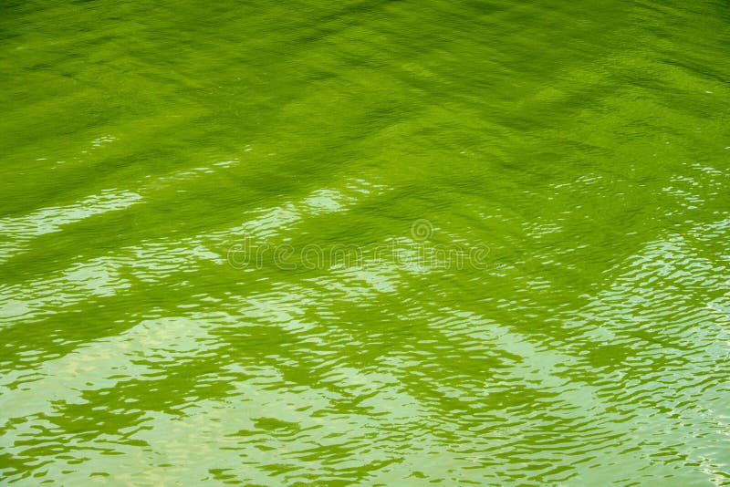Motion of Green Wave Water Pattern Stock Photo - Image of color ...