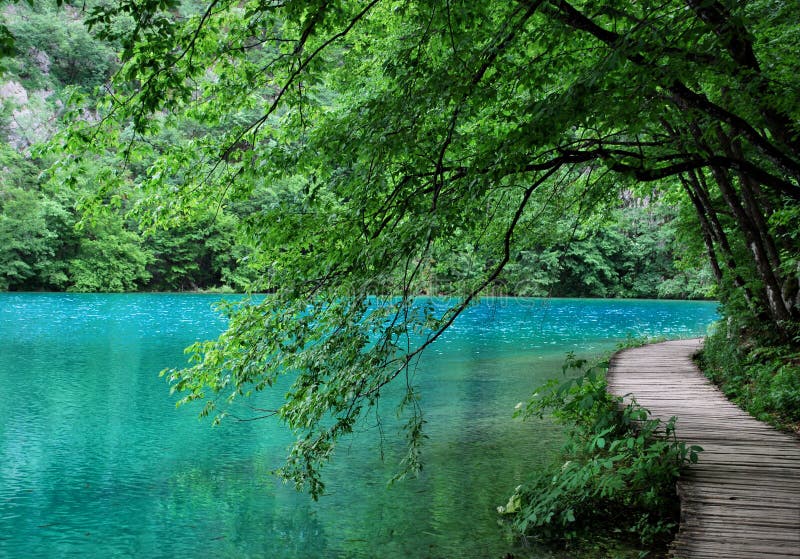 Green water stock image. Image of lake, nature, landmarks - 57444831