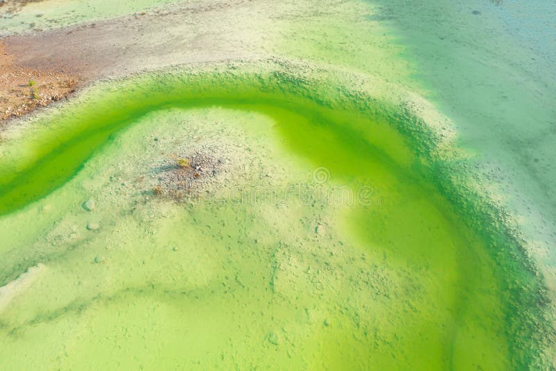 Green Water in a Shallow Lake, Top View, for Background Stock Photo ...