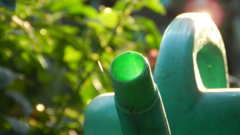 Green Water Tank with Trees Background Stock Photo - Image of ...