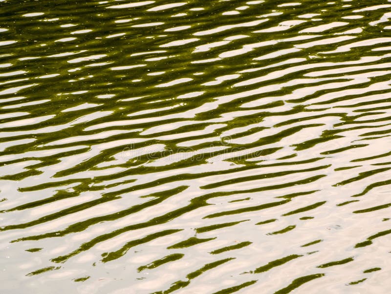 Green Water Texture stock image. Image of green, background - 244150413