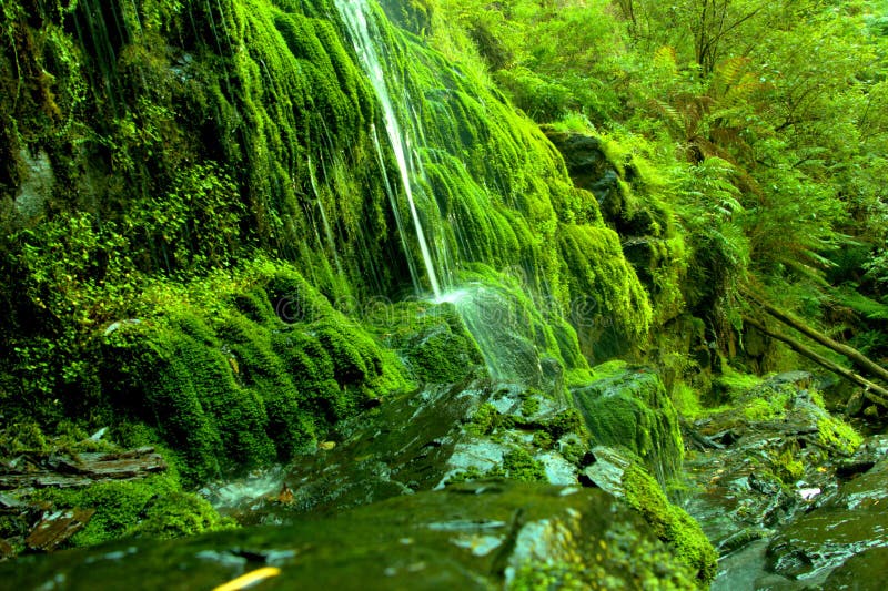 Green Waterfall stock image. Image of water, falls, beautiful - 68047071