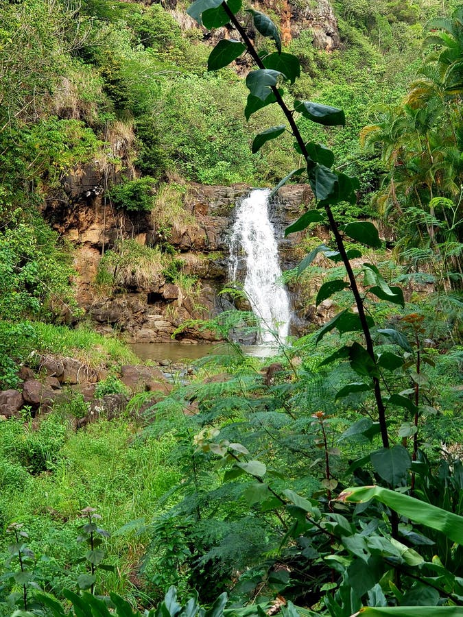Green Waterfall of Breath stock image. Image of wilderness - 203071021