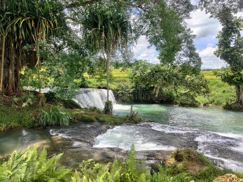 Green Waterfall Under the Tree Stock Photo - Image of waterfall, tree ...