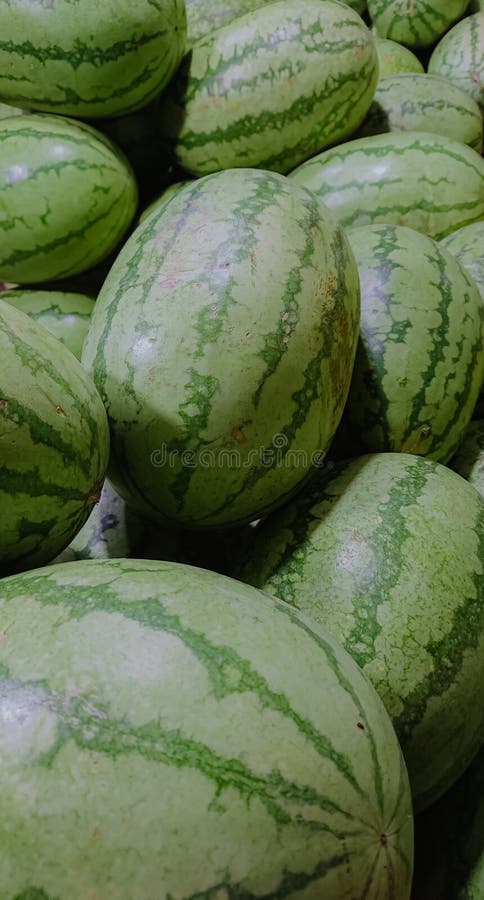 Green Watermelon: Natural Delight from the Earth Stock Image - Image of ...