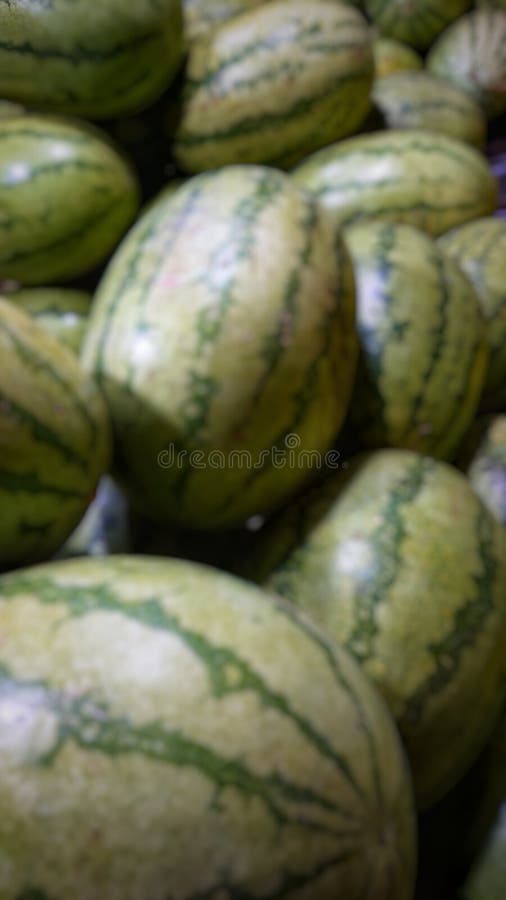 Green Watermelon: Natural Delight from the Earth Stock Photo - Image of ...