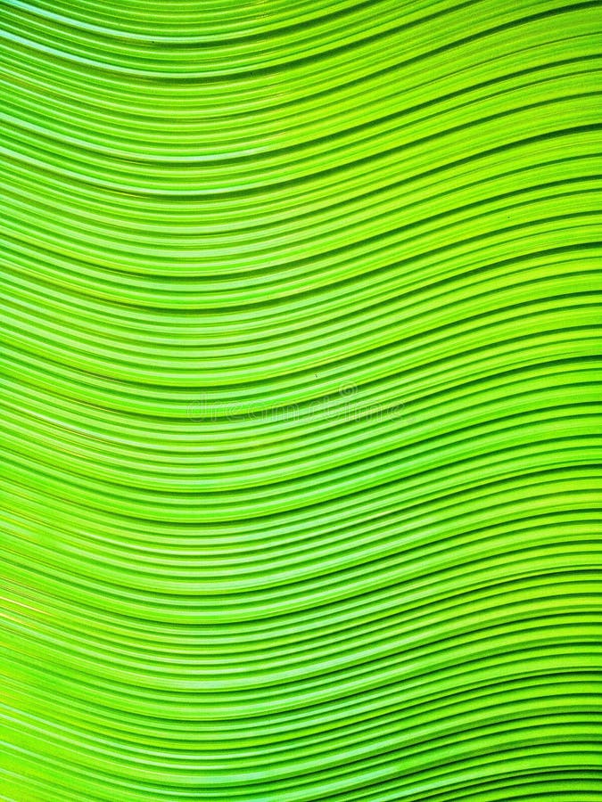 Green waves stock image. Image of waves, colour, green - 135274057