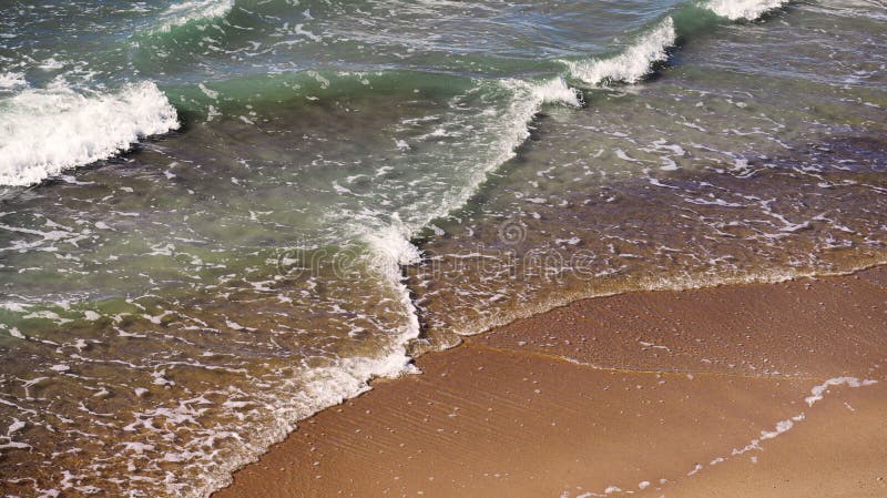 Green waves ashore stock image. Image of seascape, flow - 253714185